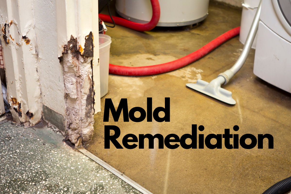 Birmingham, AL Black Mold Removal - Bio-One Alabama